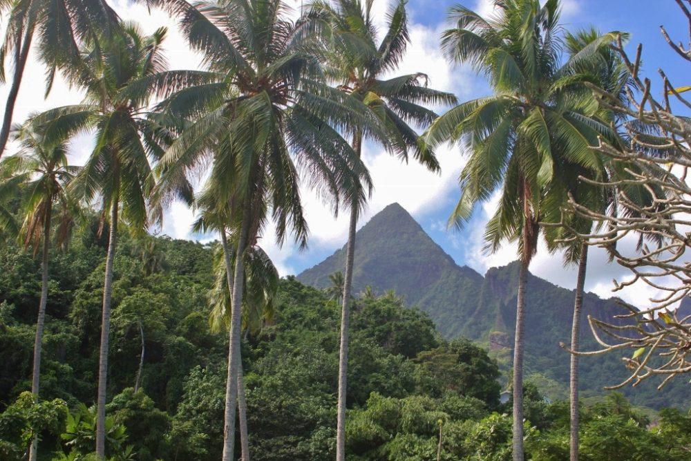 French Polynesia on a Budget: Plan a Cheap Moorea Trip - Jetsetting Fools