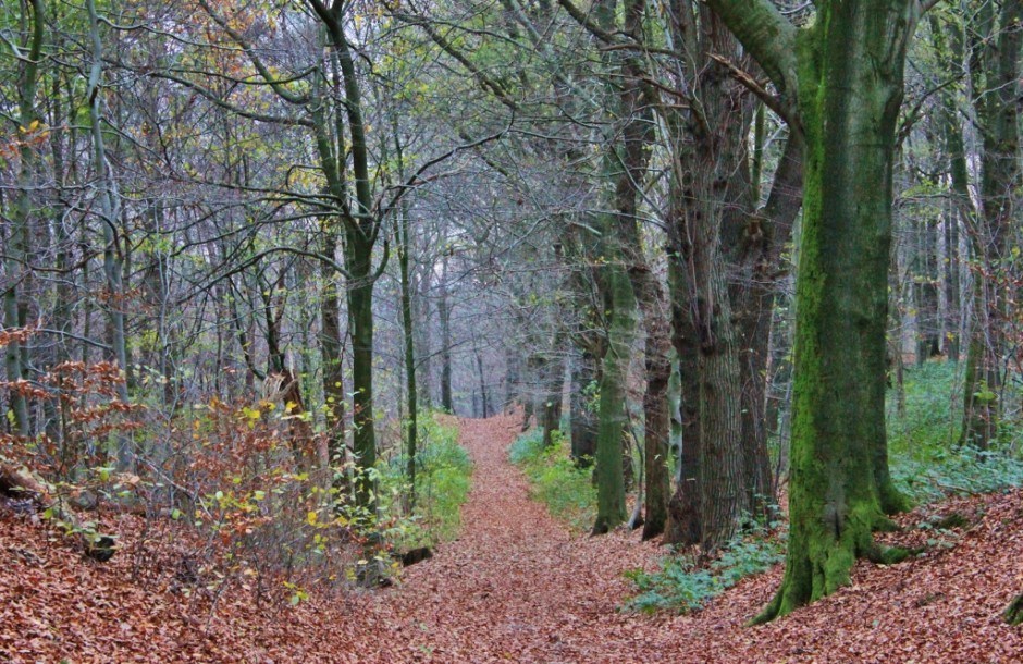 Beek-Ubbergen, Netherlands: Naturally Beautiful - Jetsetting Fools