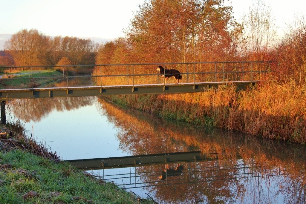 4 Reasons To Visit Beek-Ubbergen, Netherlands - Jetsetting Fools