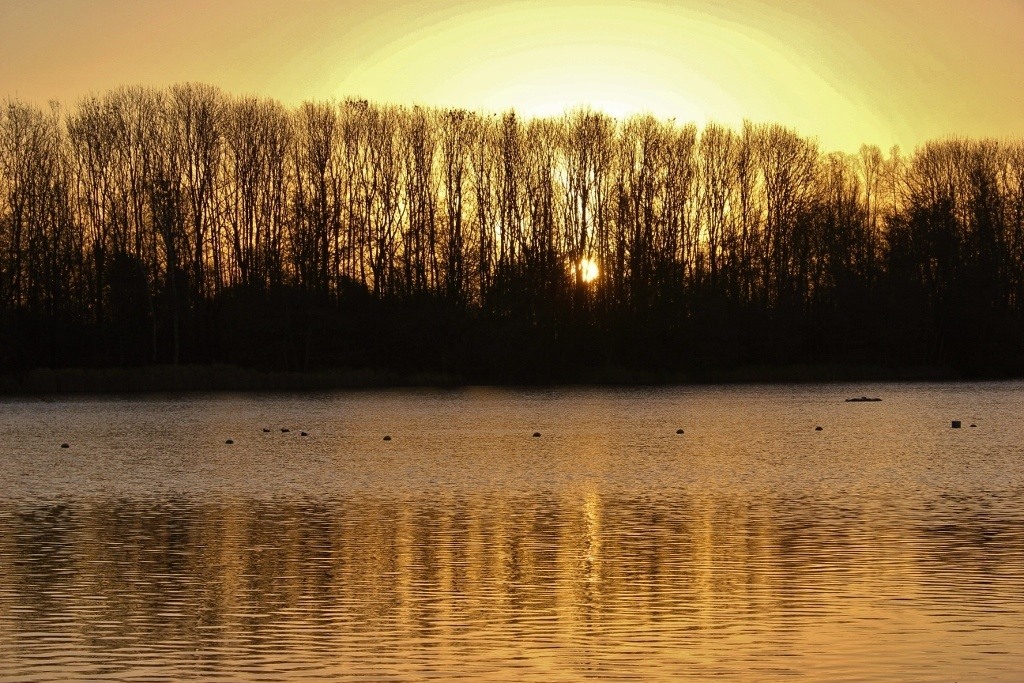 4 Reasons To Visit Beek-Ubbergen, Netherlands - Jetsetting Fools