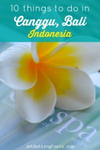 Top Things to do in Canggu for the Best Bali Experience - Jetsetting Fools