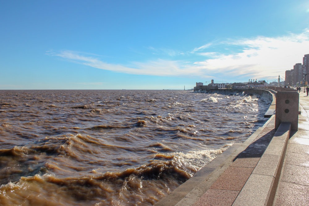 5 Things To Do in Montevideo, Uruguay - Jetsetting Fools