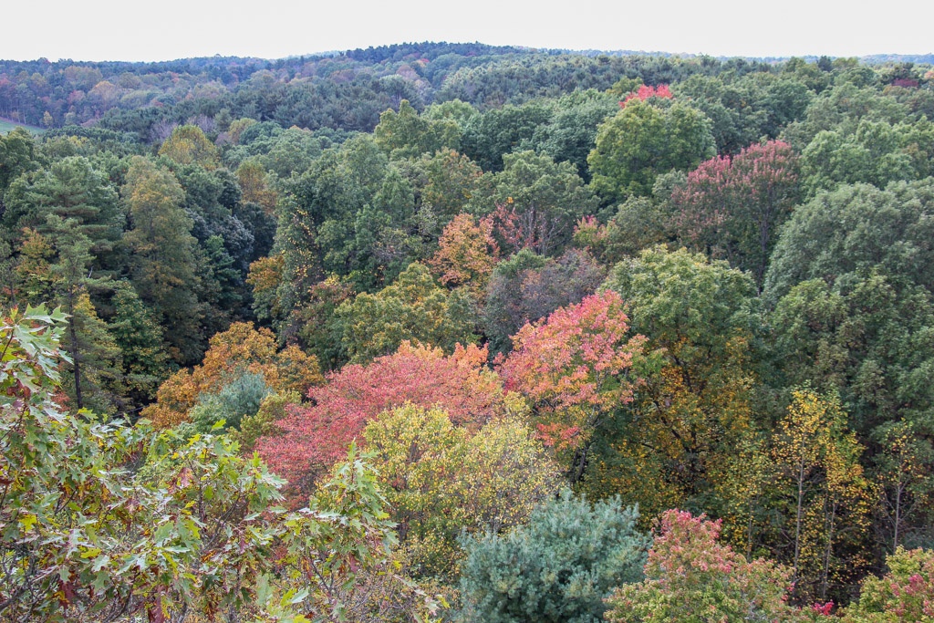 18 Things To Do at Mohican State Park, Ohio - Jetsetting Fools